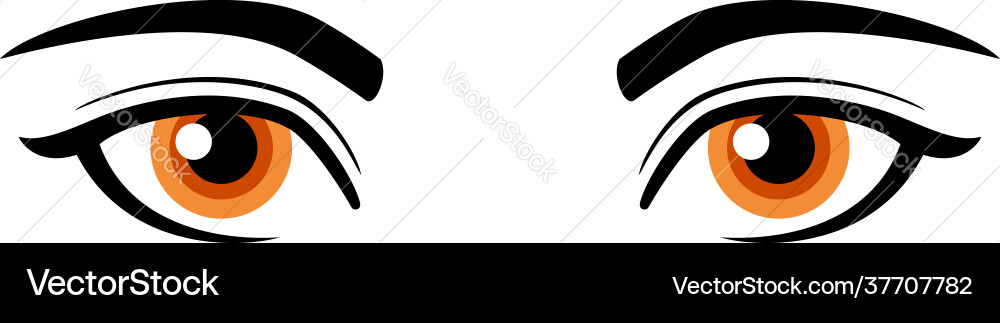Simple beautiful female human eyes icon Royalty Free Vector