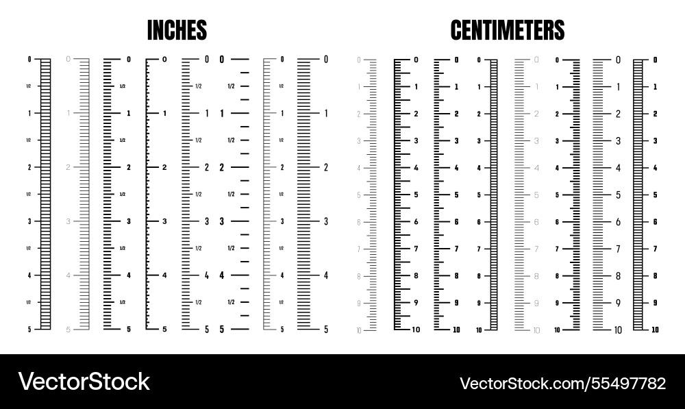 Vertical centimeter and inch scale for measuring Vector Image