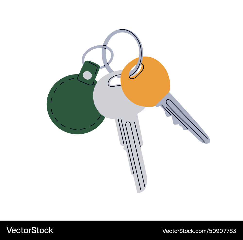 Door key ring chain with hanging bunch from metal Vector Image