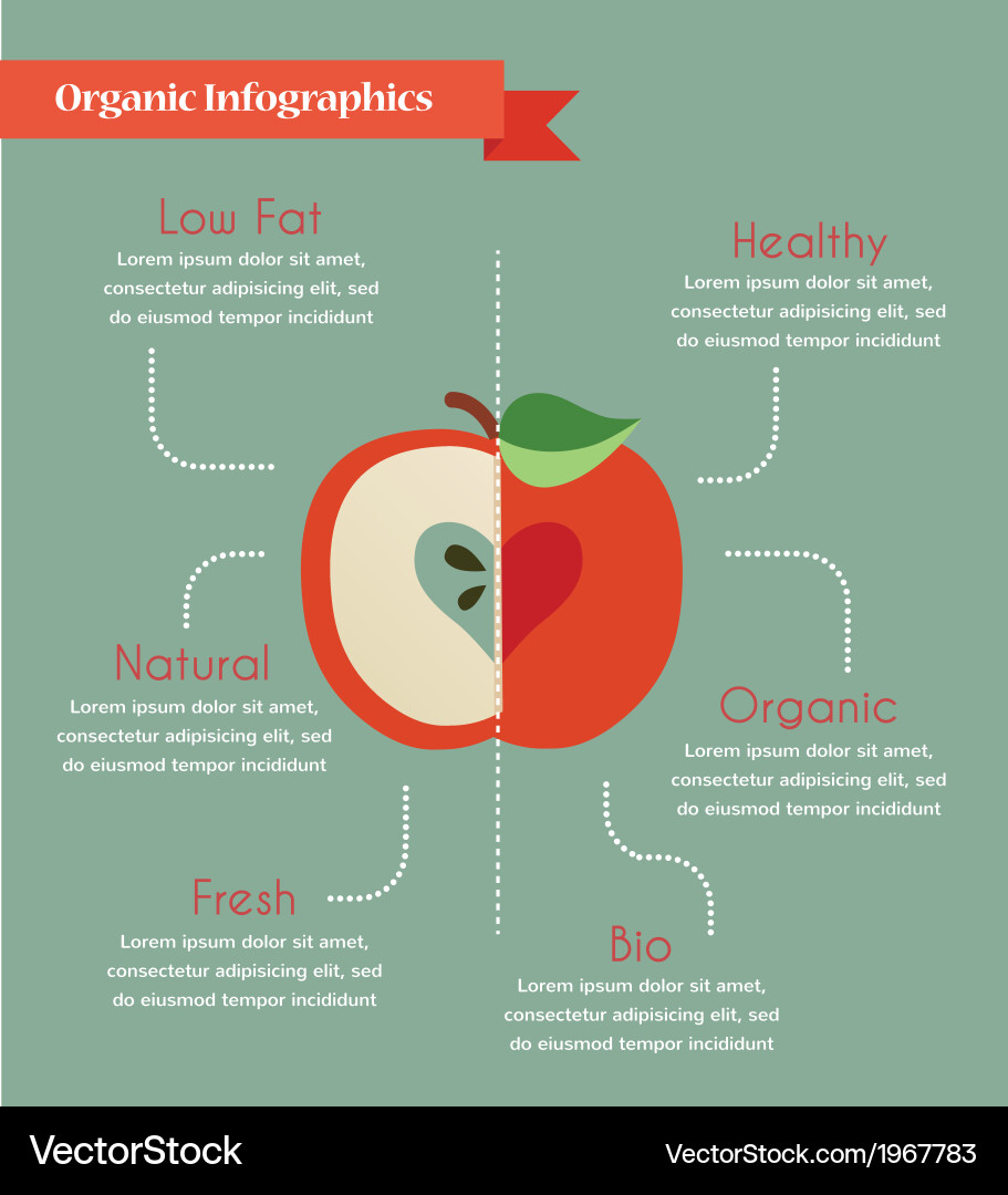 Organic infogtaphics Royalty Free Vector Image