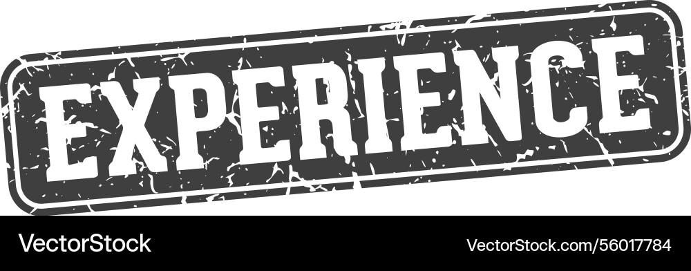 Experience rectangular sign experience stamp Vector Image