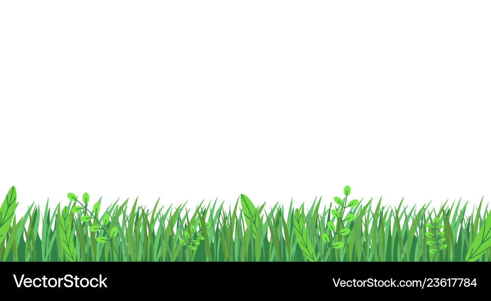 Spring grass seamless border floral Royalty Free Vector
