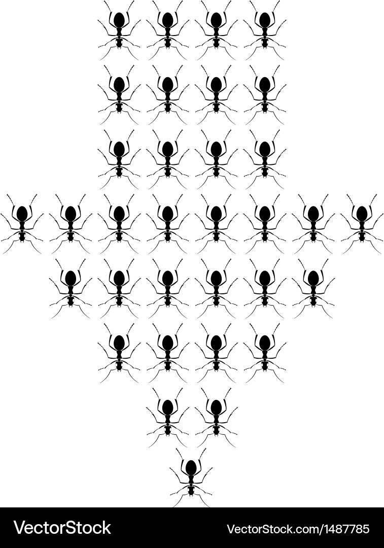 Ants Royalty Free Vector Image - VectorStock