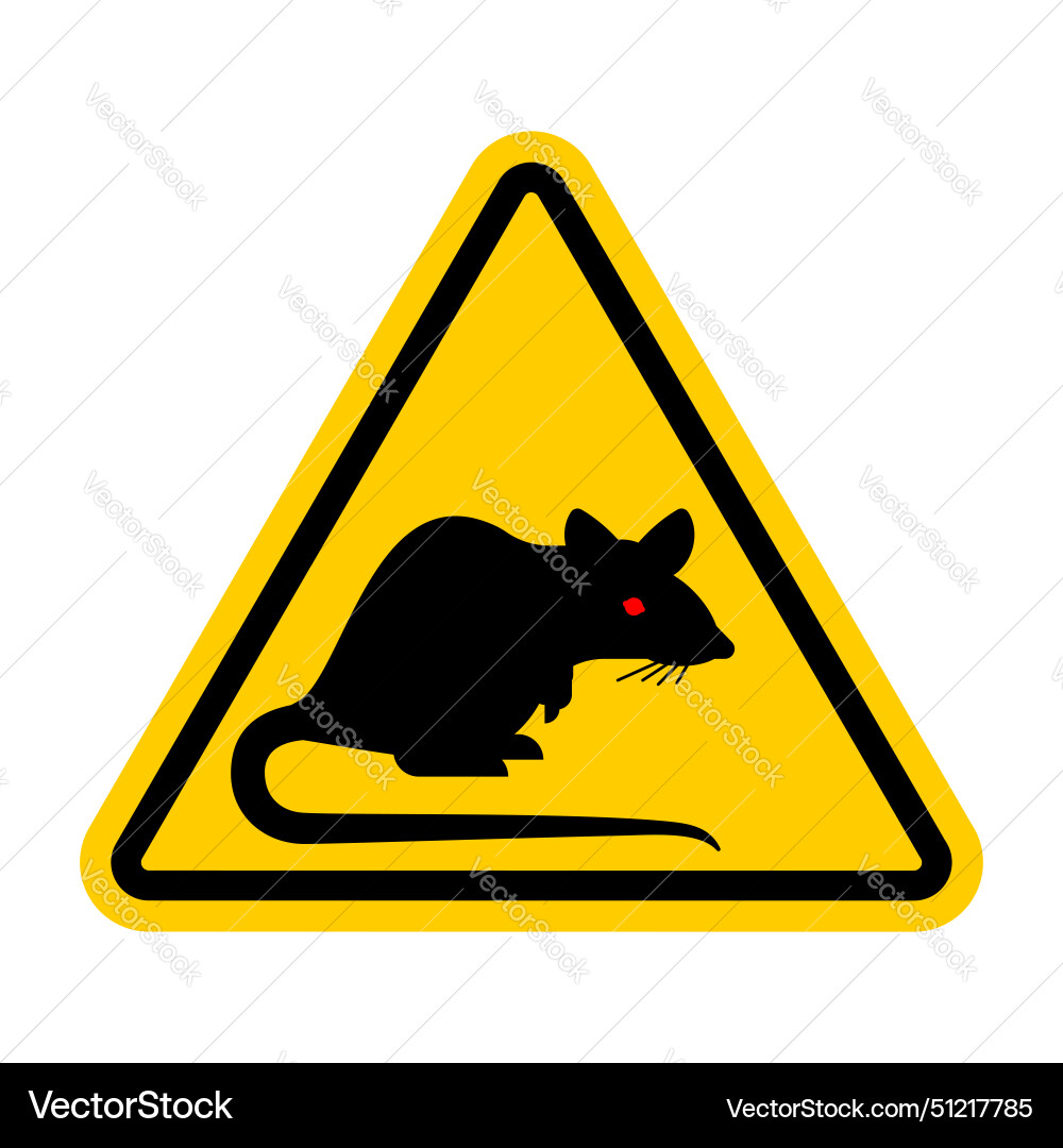 Attention rat warning yellow road sign caution Vector Image