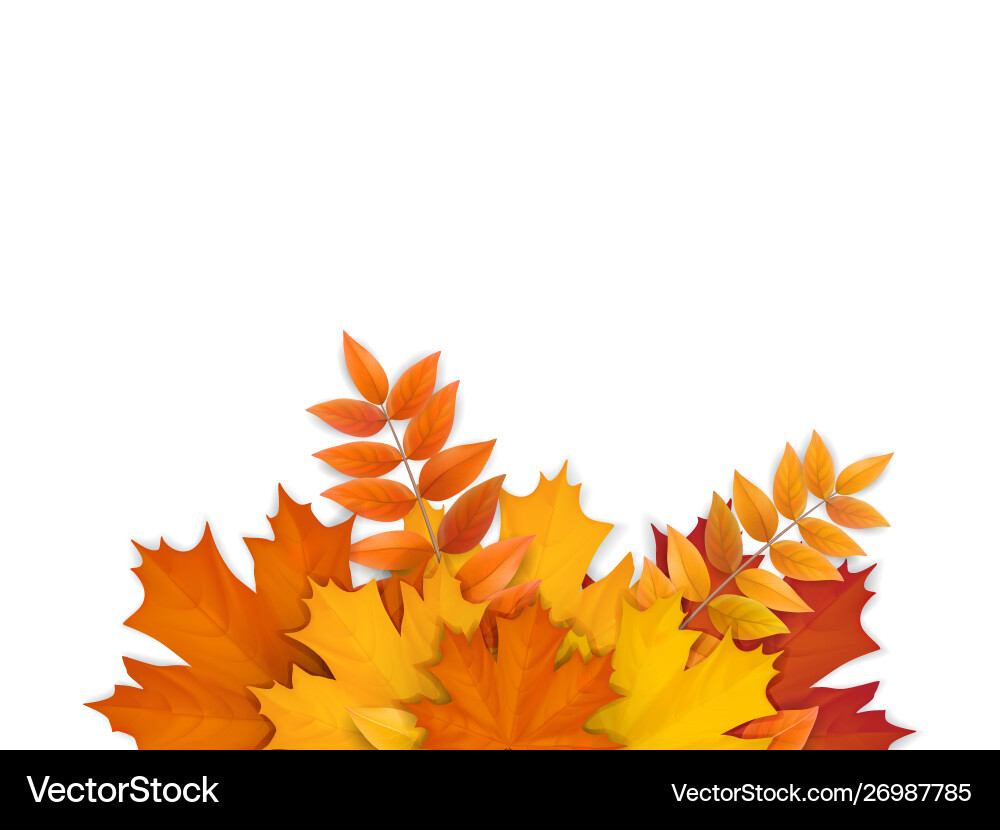 Bouquet fallen autumn leaves Royalty Free Vector Image
