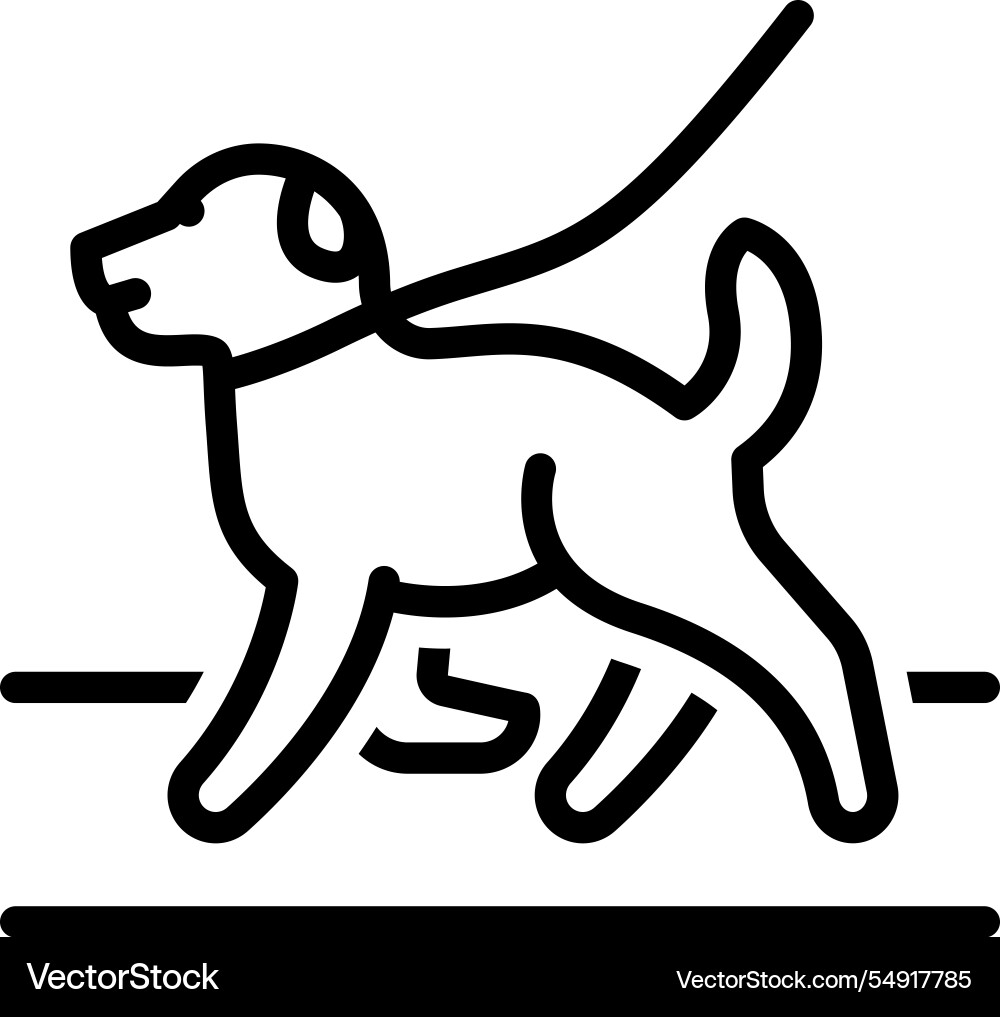 Dog walk Royalty Free Vector Image - VectorStock