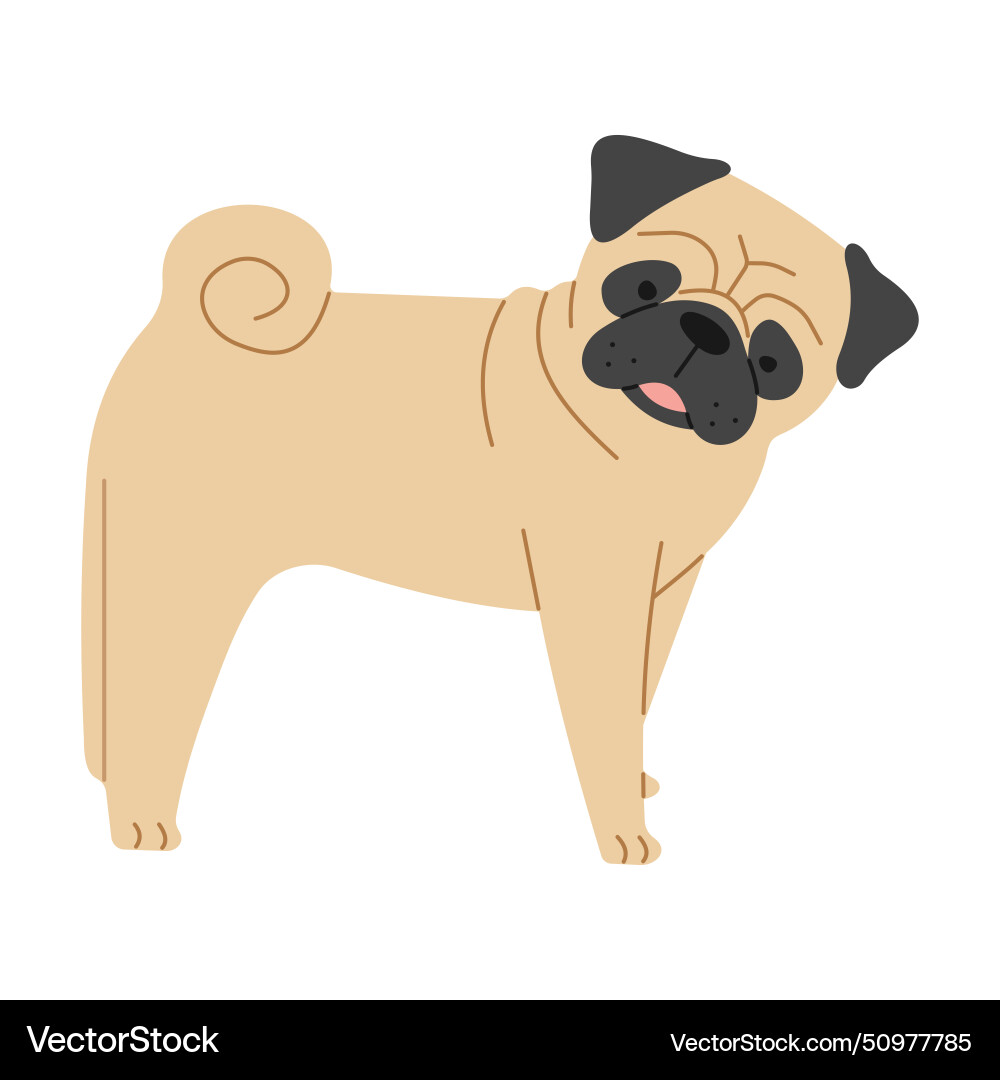 Pug 1 Royalty Free Vector Image - VectorStock