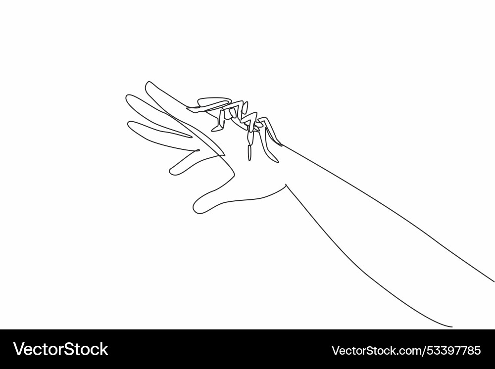 Single one line drawing big spider posing on hand Vector Image