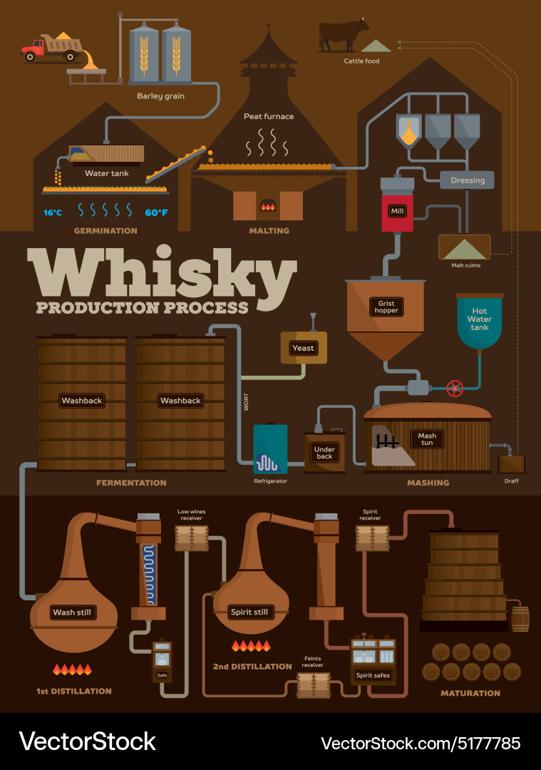 Infographic Whiskey Vector Images (over 1,100)