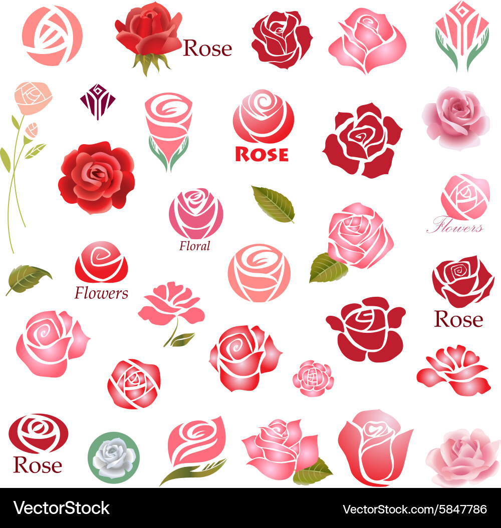 Roses design elements Royalty Free Vector Image