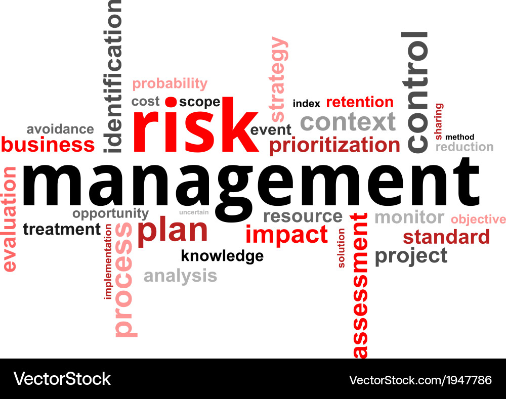 Word cloud risk management Royalty Free Vector Image