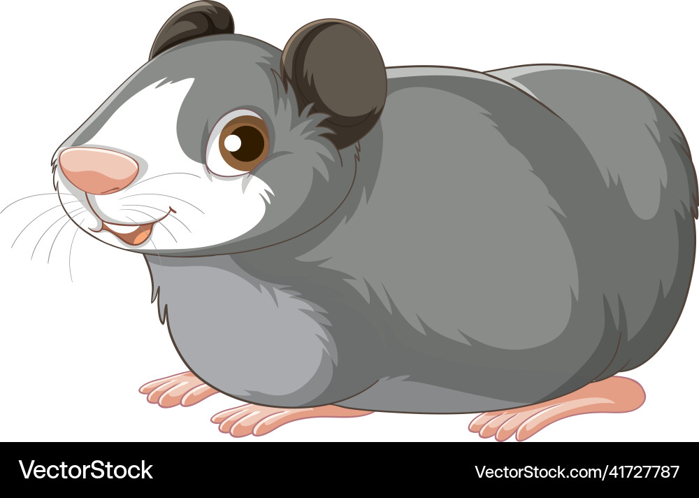 A cute guinea pig on white background Royalty Free Vector