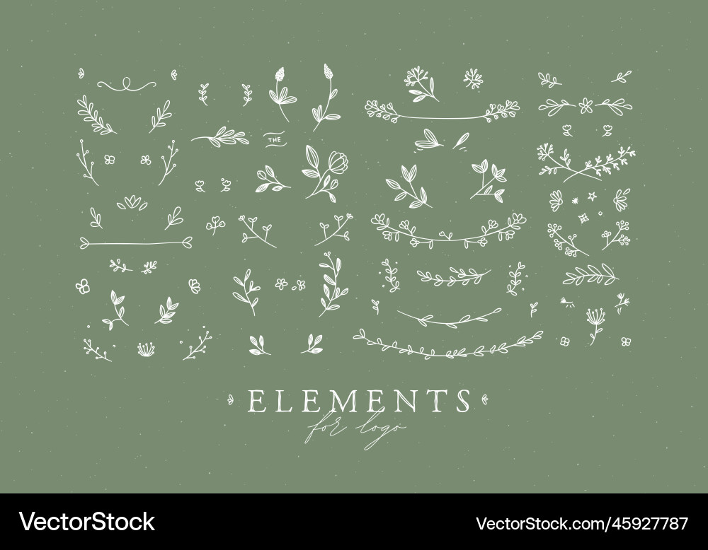 Elements flowers and branches for design green Vector Image