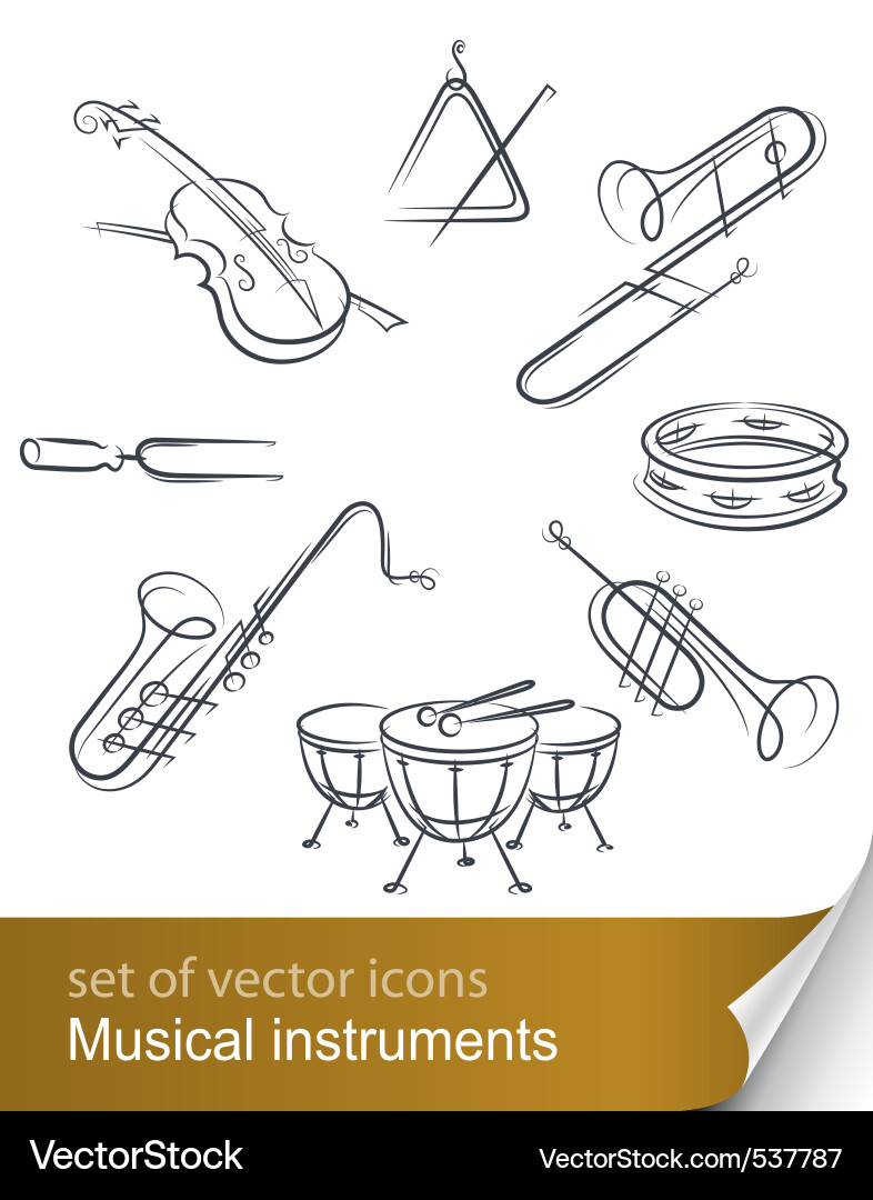Musical instrument Royalty Free Vector Image - VectorStock