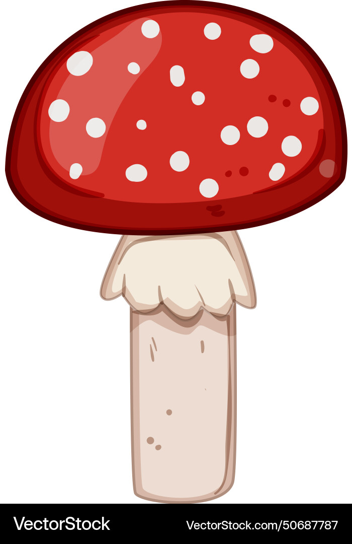 Red fly agaric cartoon Royalty Free Vector Image