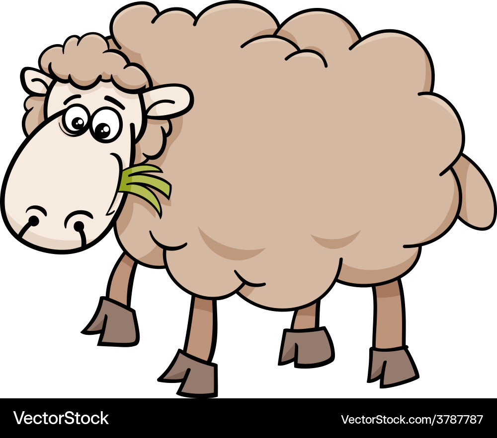Sheep farm animal cartoon Royalty Free Vector Image