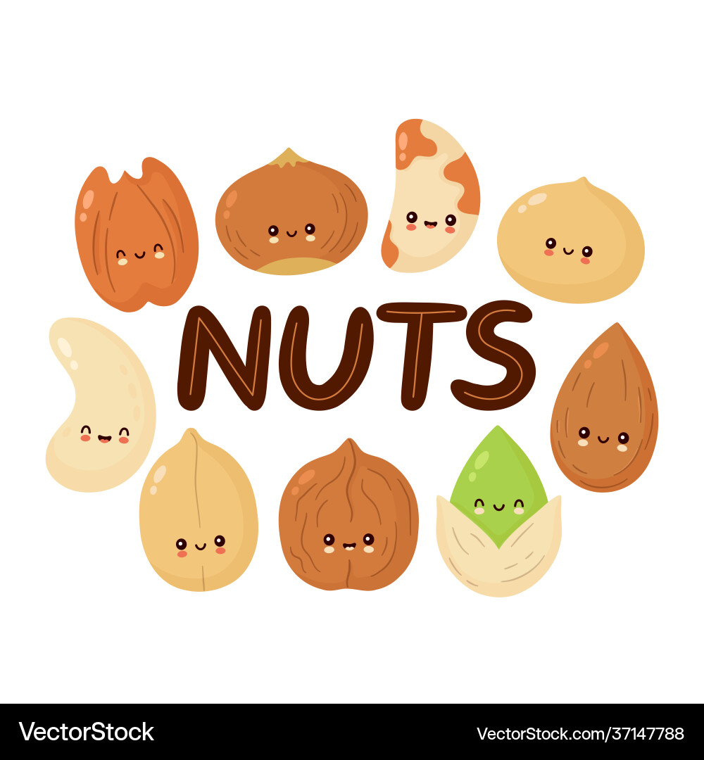 Cute happy nuts banner flat cartoon Royalty Free Vector