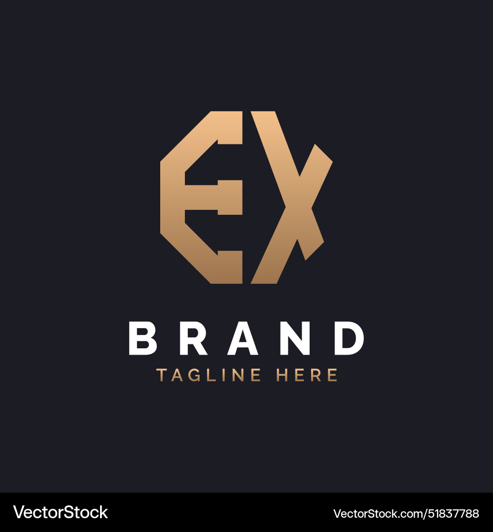 Ex logo design modern minimal elegant and luxury Vector Image