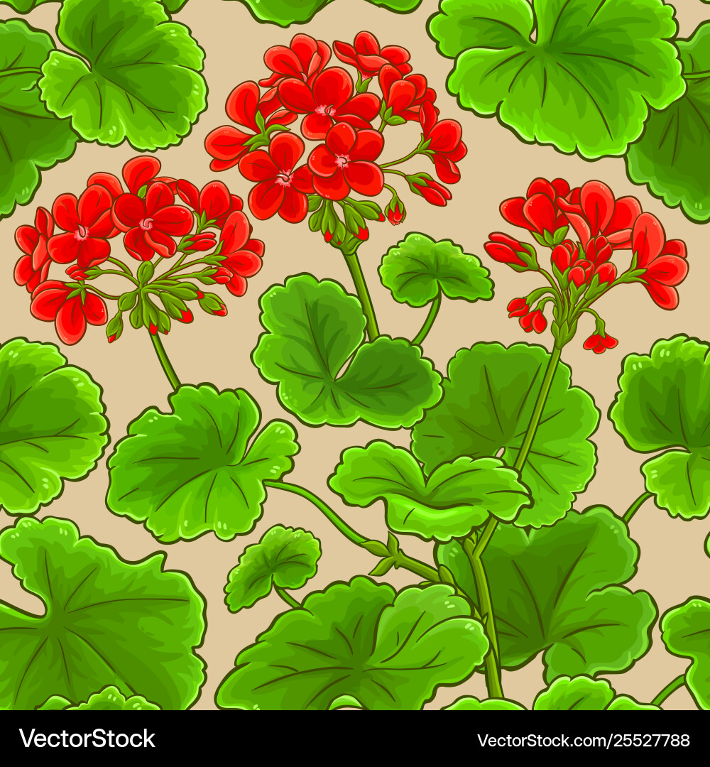 Geranium Branch Pattern - Floral Artwork Vector Image