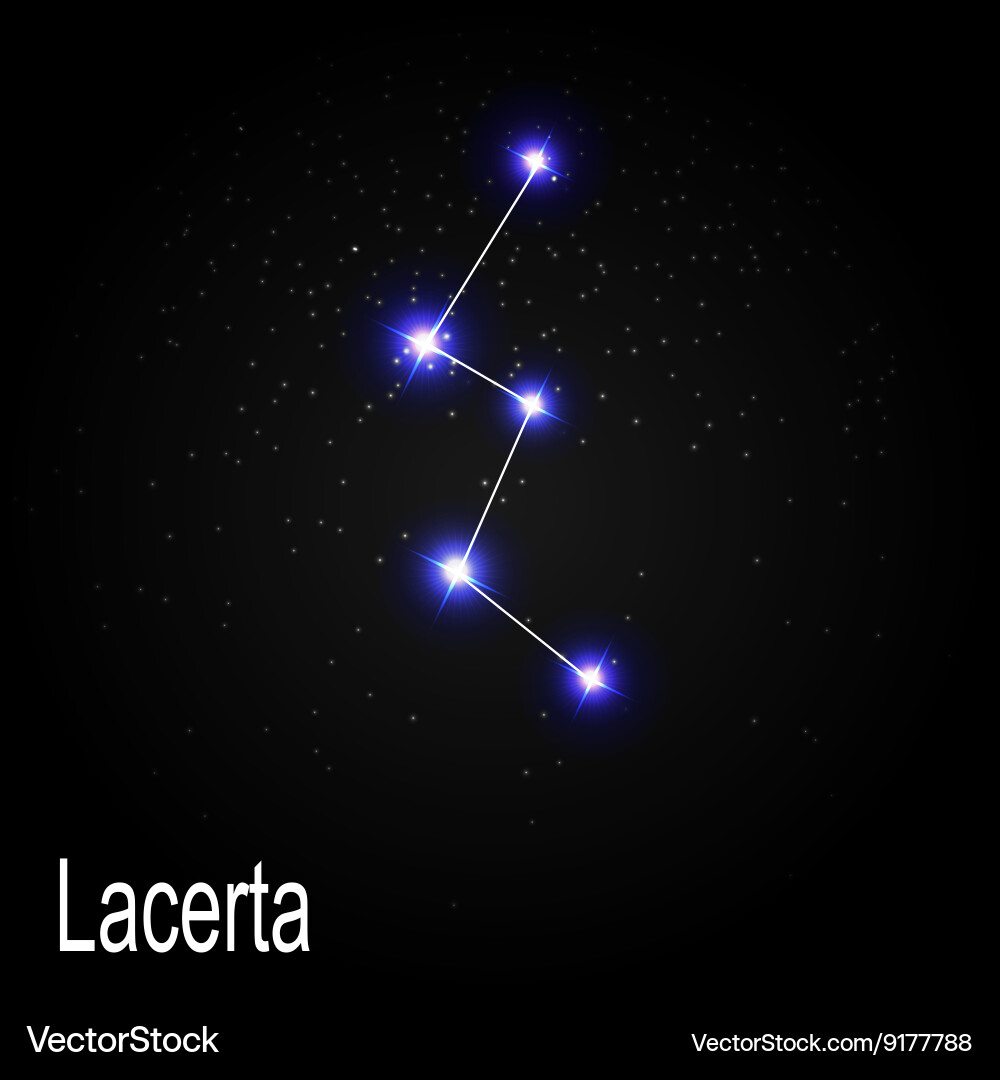 Lacerta constellation with beautiful bright stars Vector Image