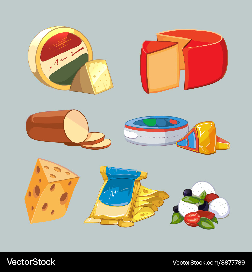 Cheese in packaging set cartoon style Royalty Free Vector