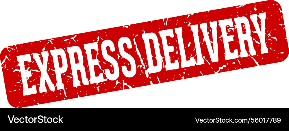 Express delivery rectangular sign express Vector Image