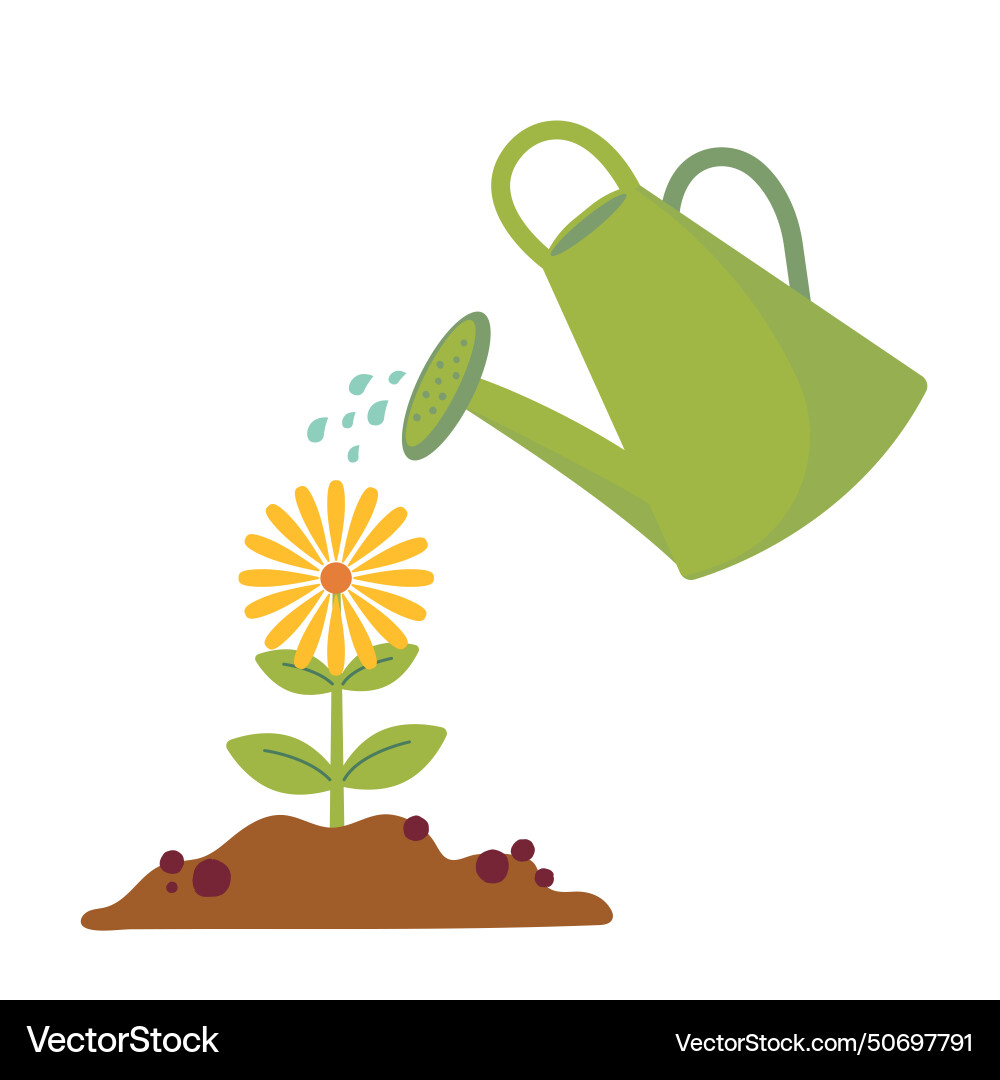 Green watering can isolated on a white background Vector Image