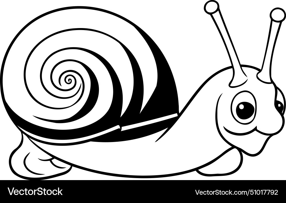 Snail isolated on white background cartoon Vector Image