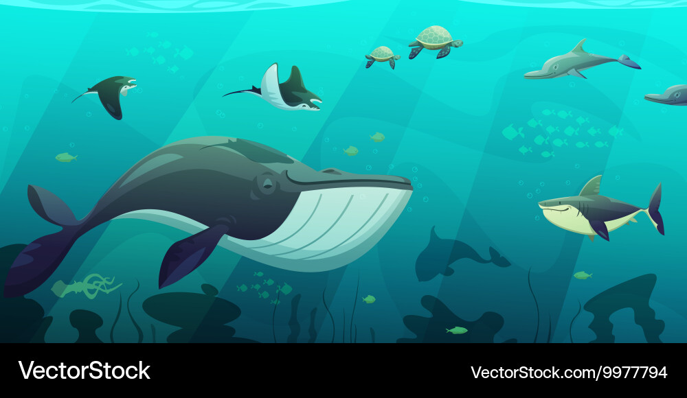 Aquatic Marine Life Banner Royalty Free Vector Image