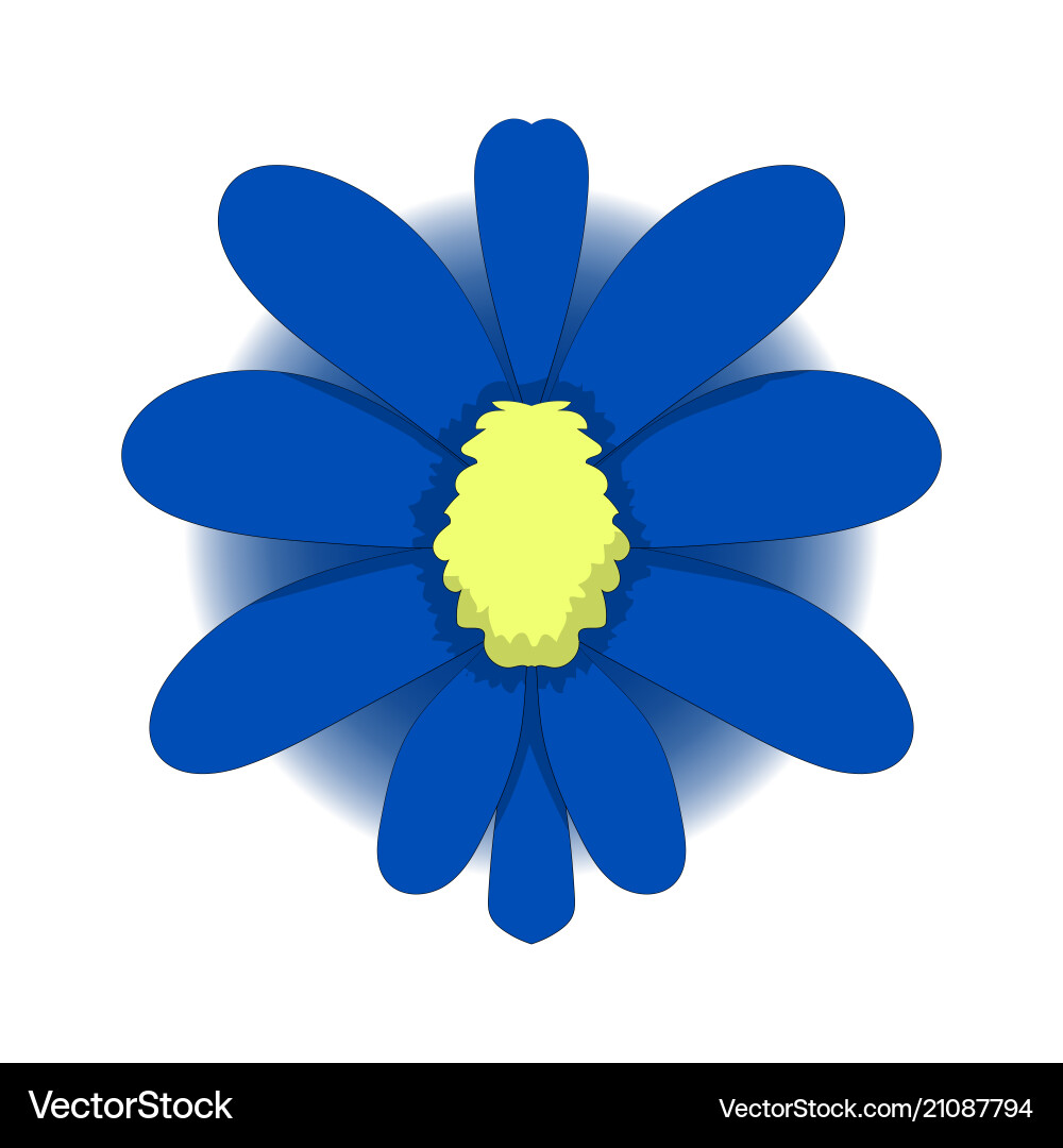 Simple drawing of a blue flower graphics Vector Image