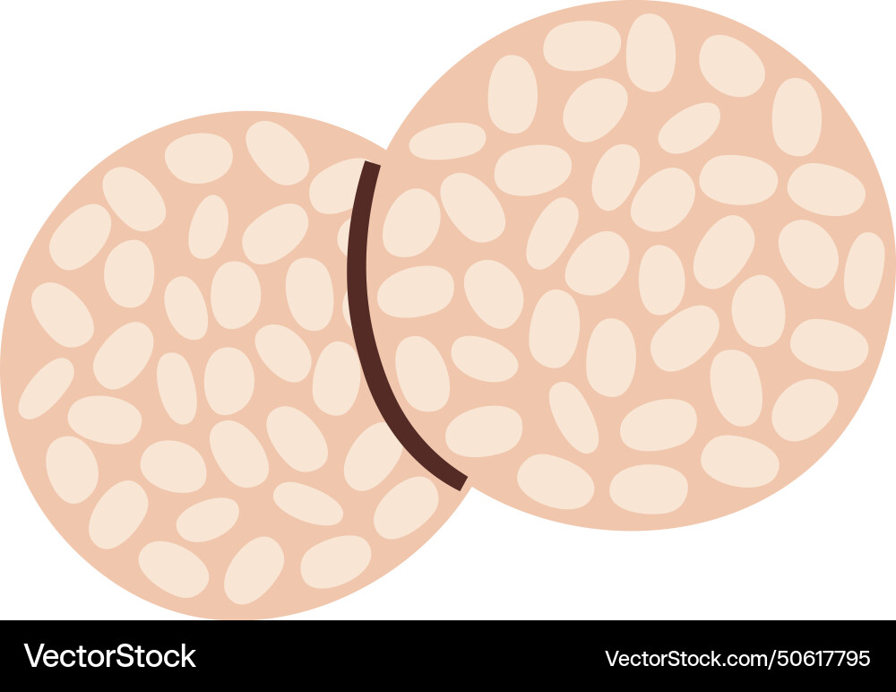 Rice cakes snack Royalty Free Vector Image - VectorStock