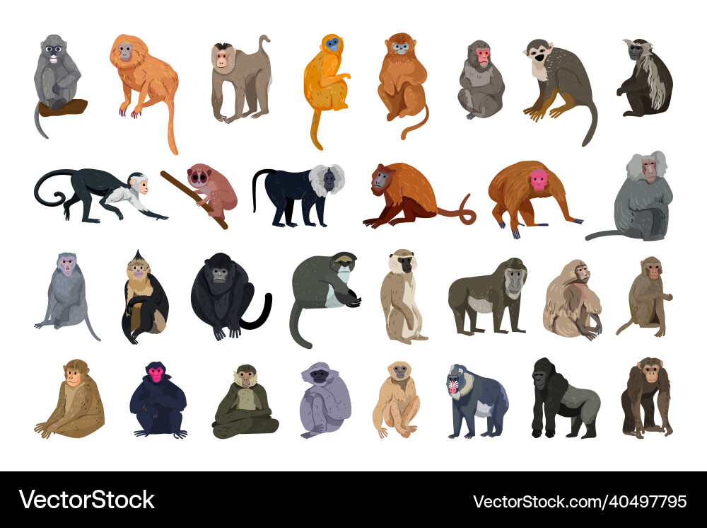 Howler Vector Images (67)
