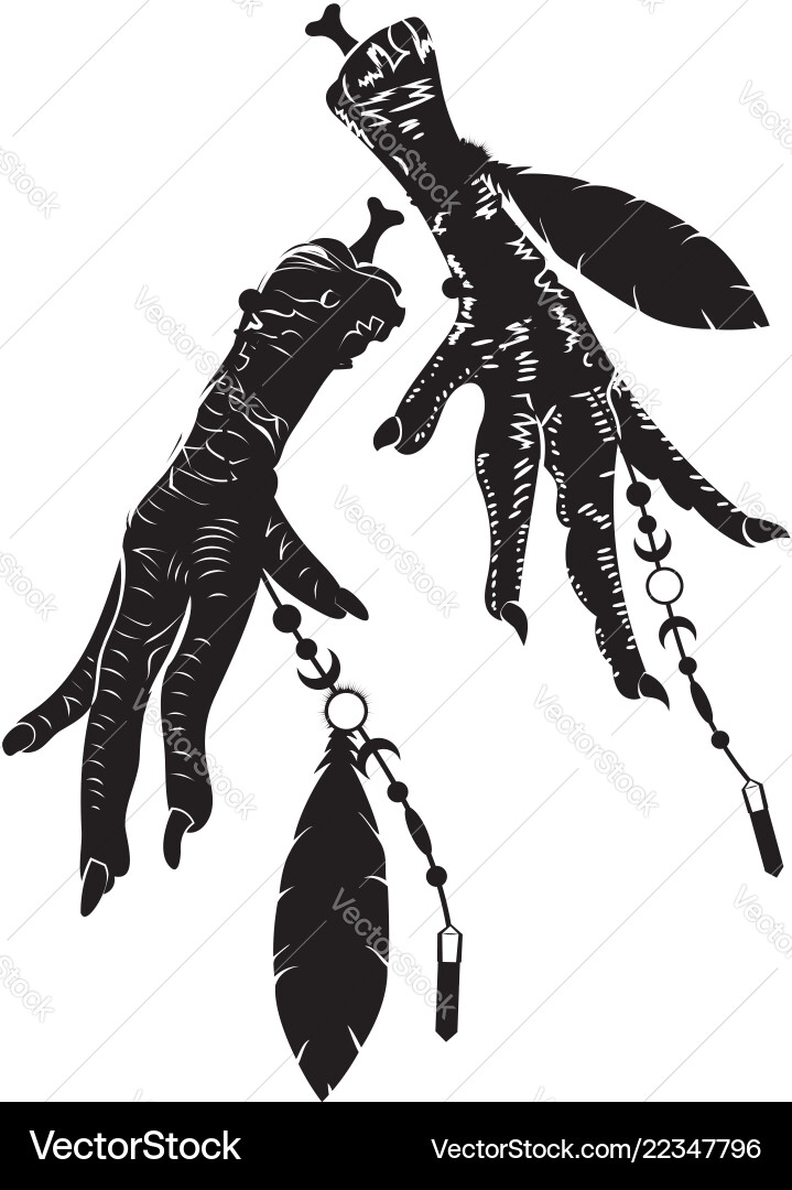 Black magic chicken legs Royalty Free Vector Image