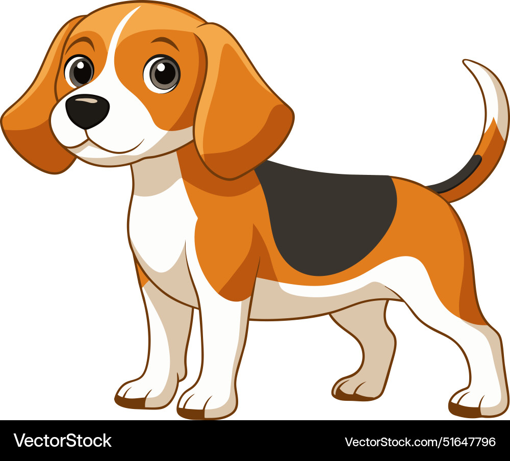 Cute beagle full body high detail Royalty Free Vector Image