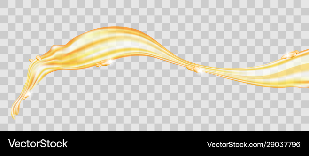 Oil splash isolated on transparent background Vector Image