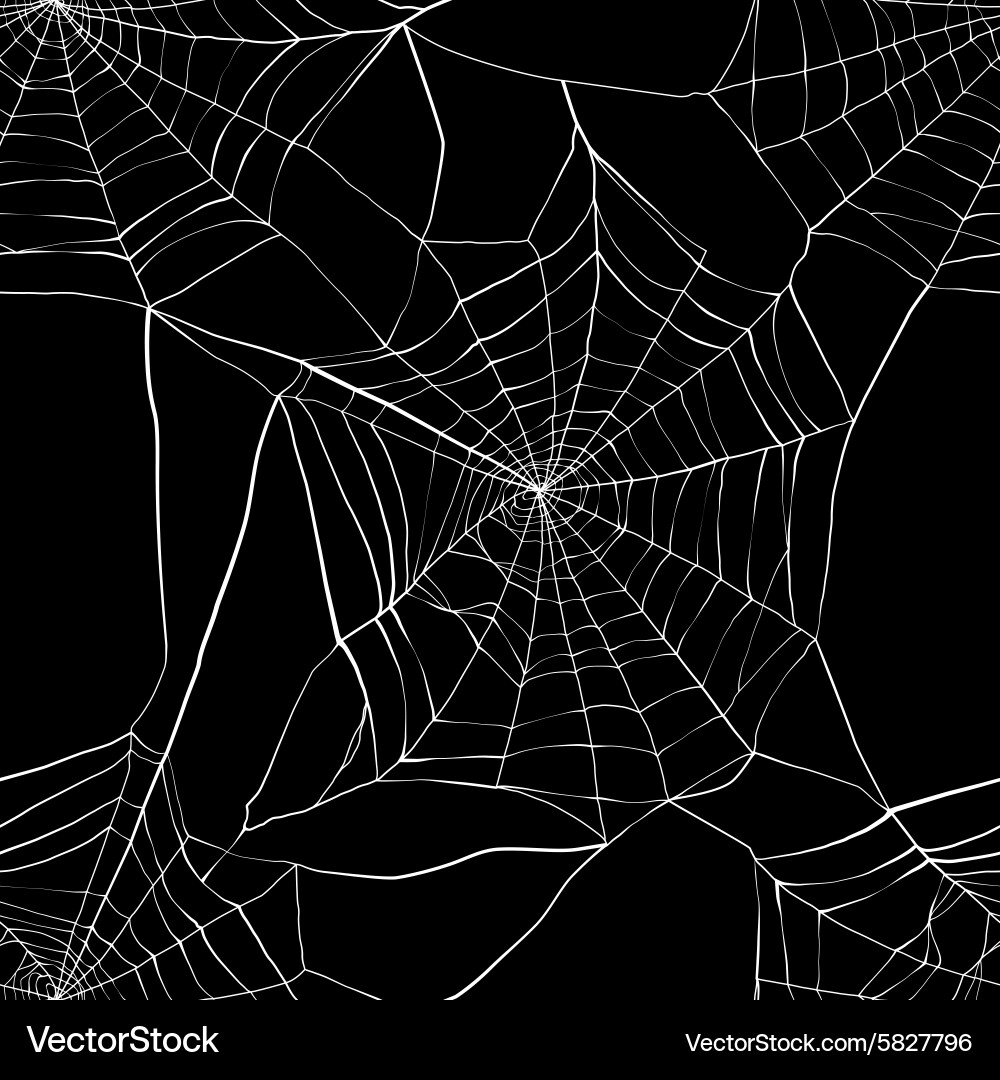 Seamless pattern with spider web Royalty Free Vector Image