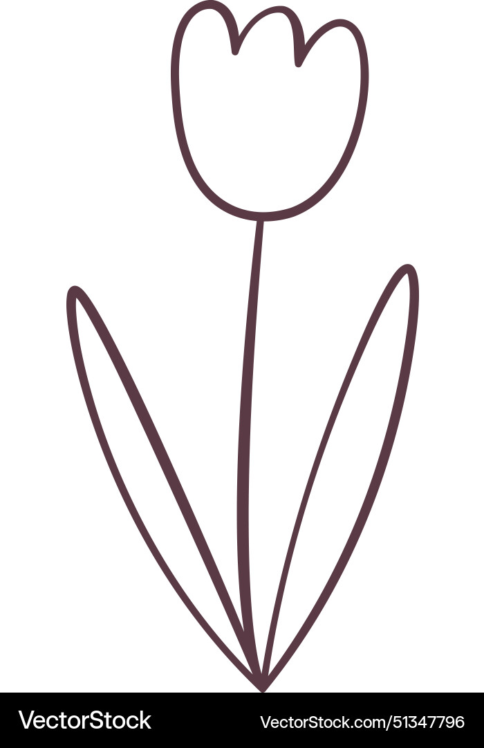 Tulip flower doodle Royalty Free Vector Image - VectorStock