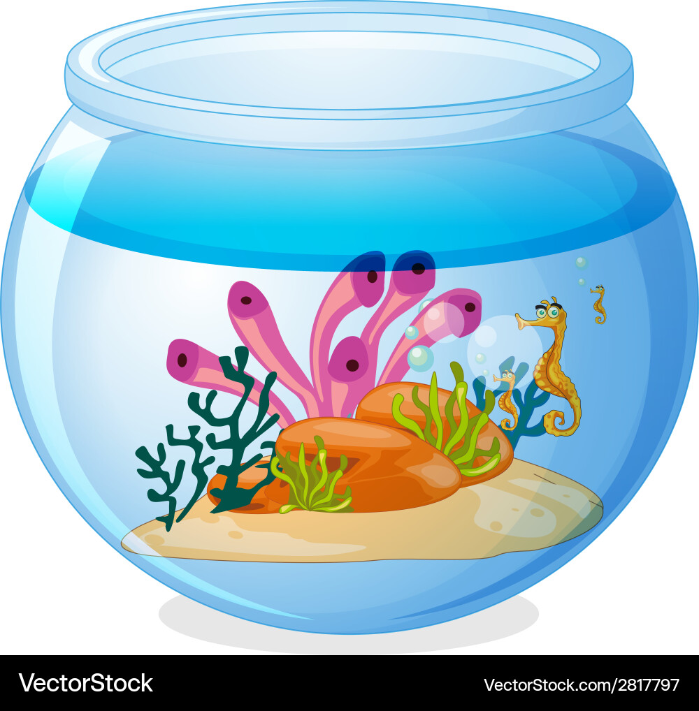 Fish tank Royalty Free Vector Image - VectorStock