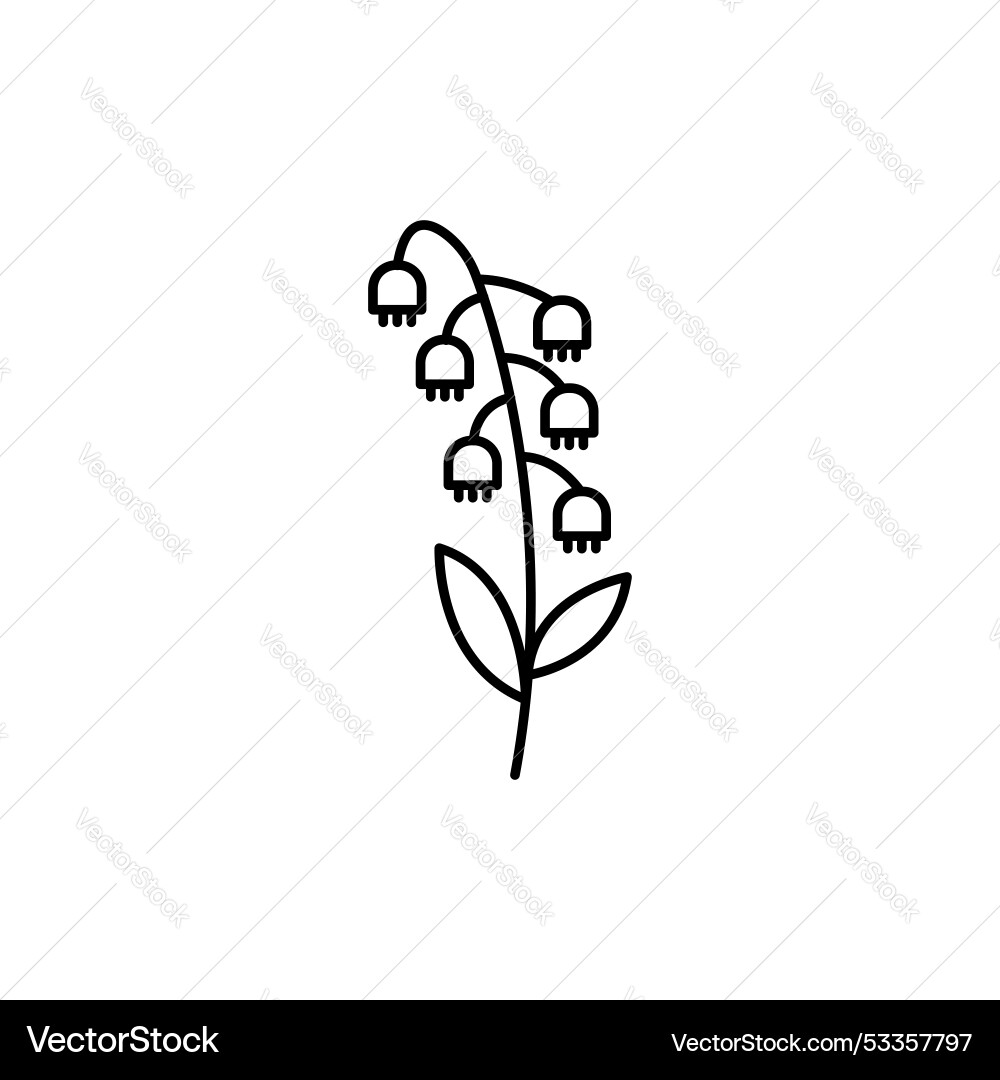 May lily icon set valley and bloom symbol Vector Image