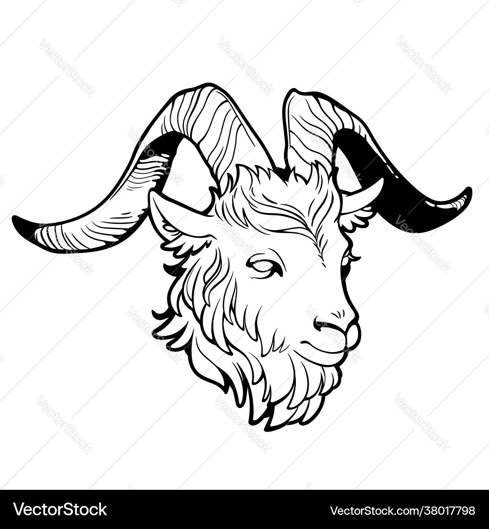 Cartoon head goat with big horns Royalty Free Vector Image