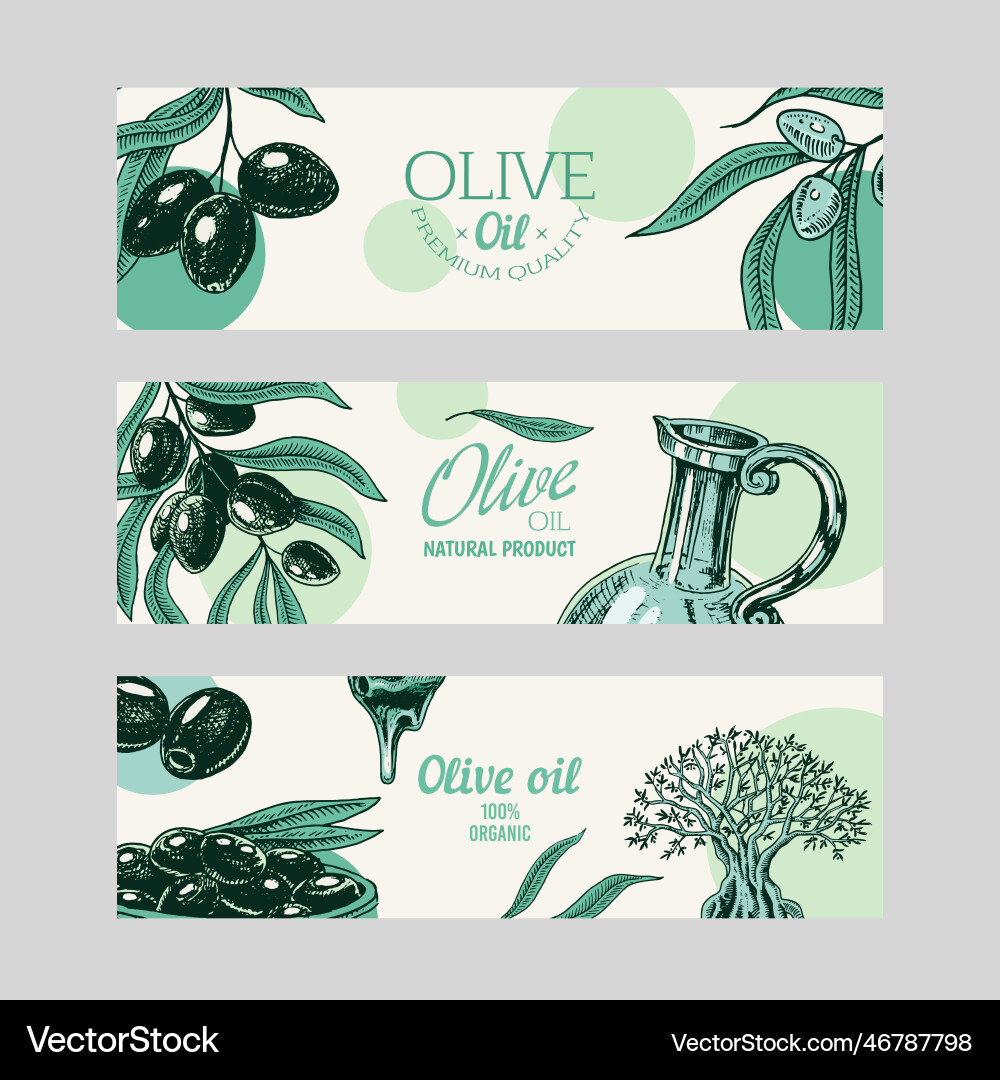 Olive oil and branch label template elegant Vector Image