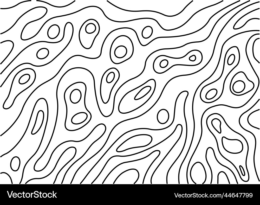 Abstract topographic map on white Royalty Free Vector Image