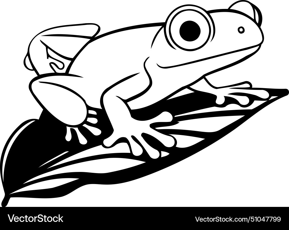 Frog on leaf isolated white background cartoon Vector Image