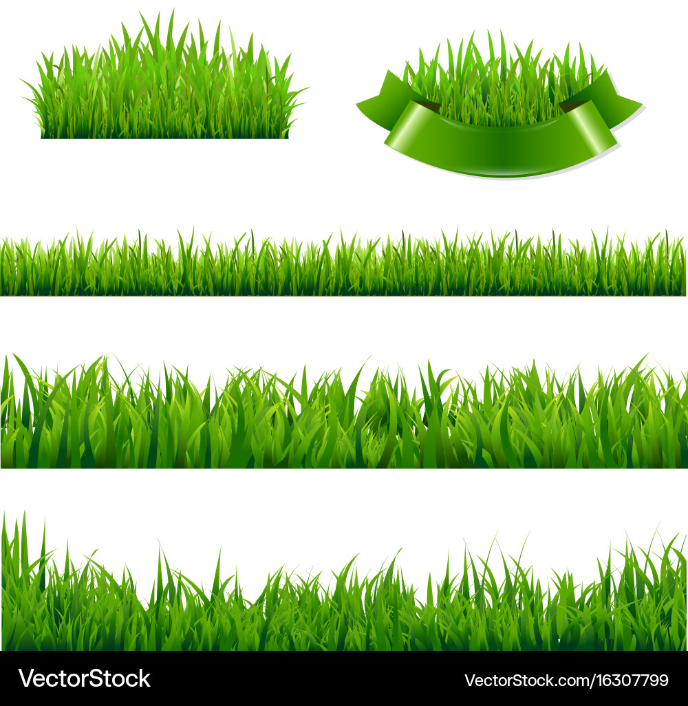 Green grass borders collection Royalty Free Vector Image