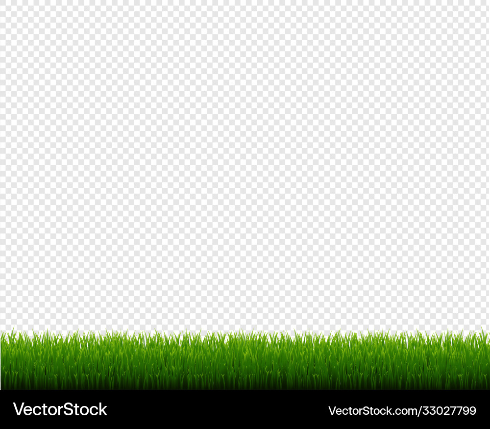 Green grass frame isolated transparent background Vector Image