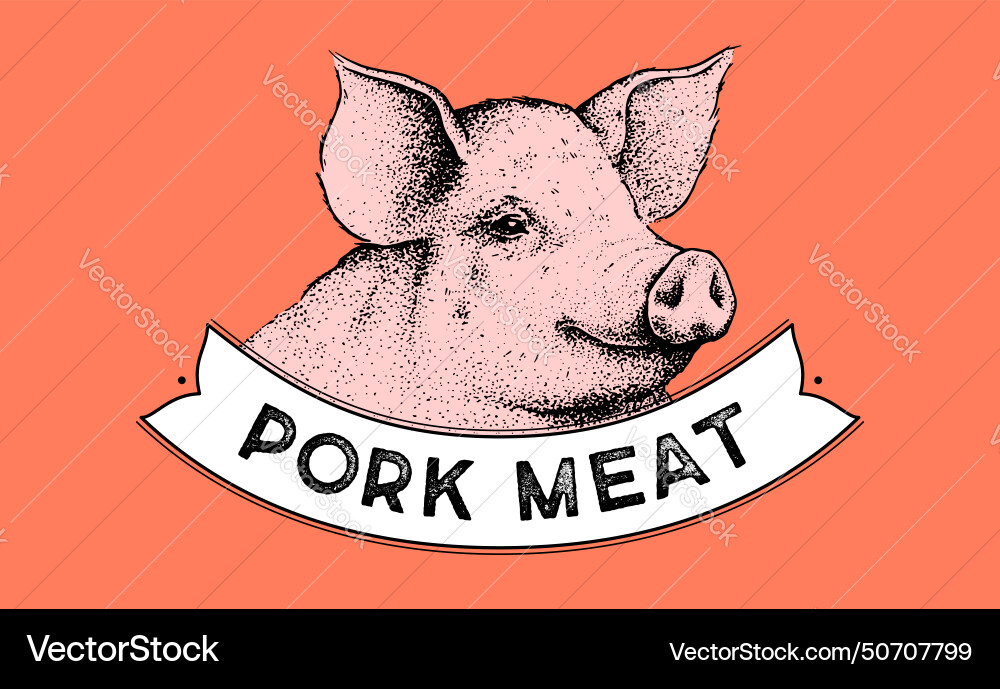 Pork pig head meat label Royalty Free Vector Image