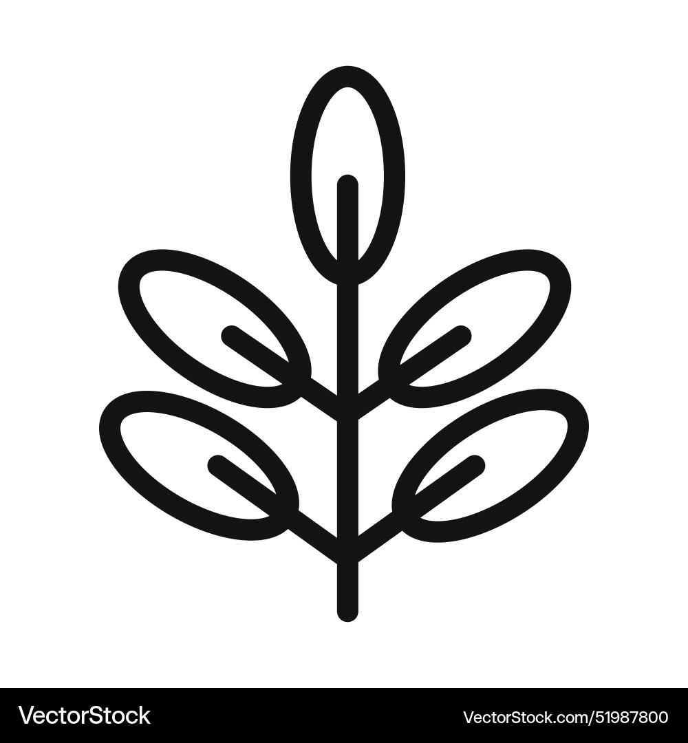 Acacia icon mark in filled style Royalty Free Vector Image