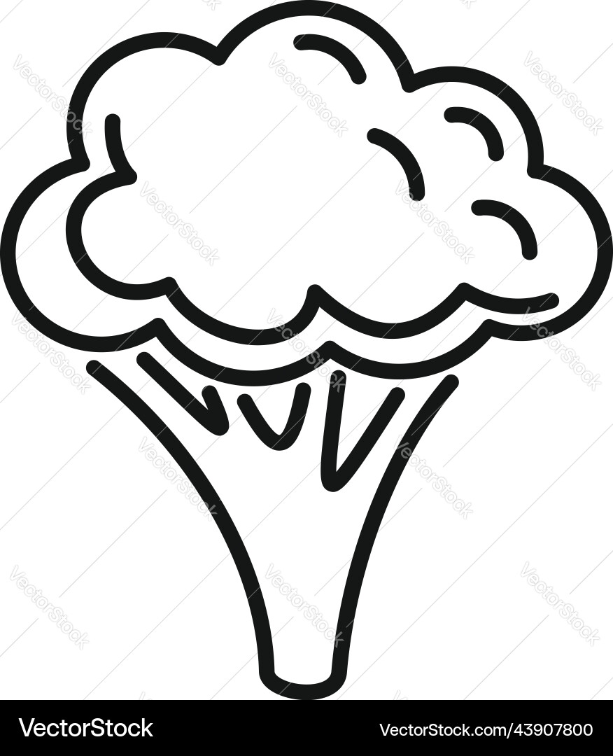 Healthy broccoli icon outline vegetable Royalty Free Vector