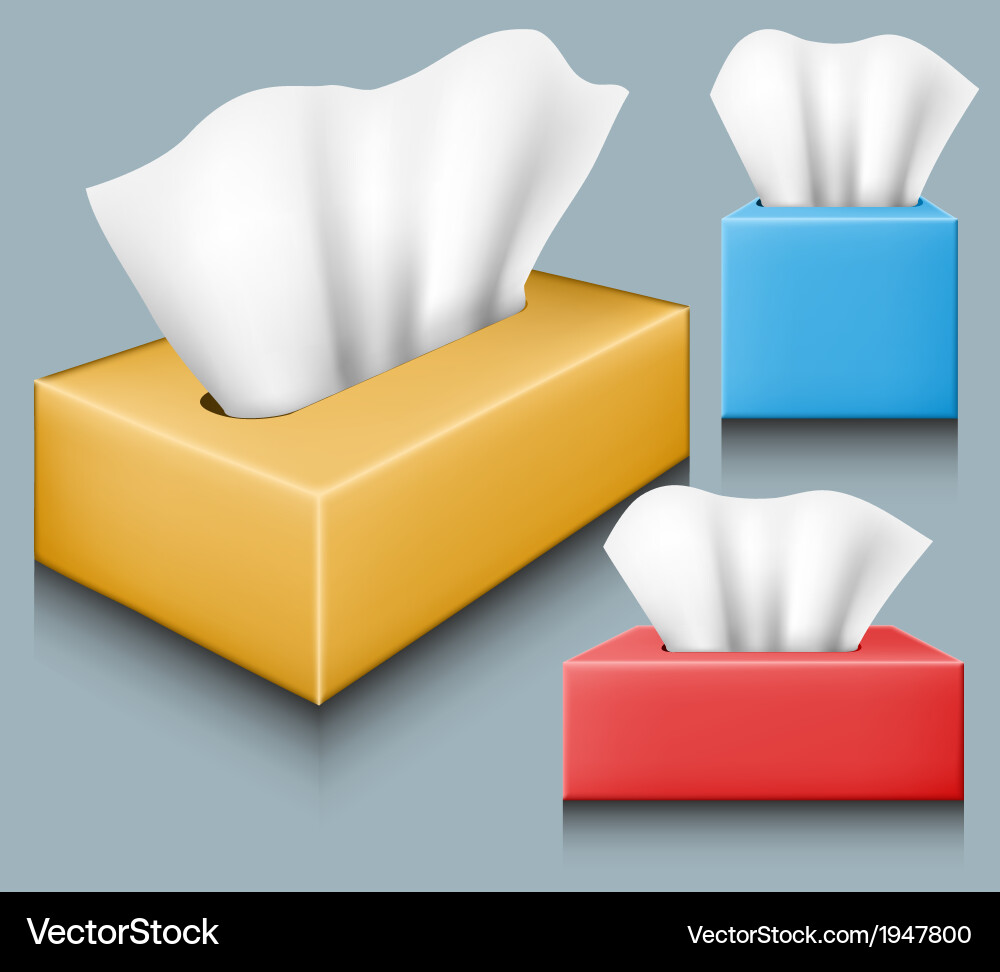 Tissue box set Royalty Free Vector Image - VectorStock