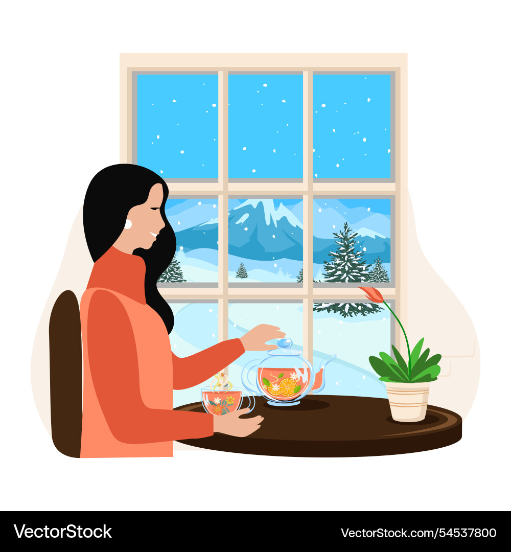 Winter outside the window Royalty Free Vector Image